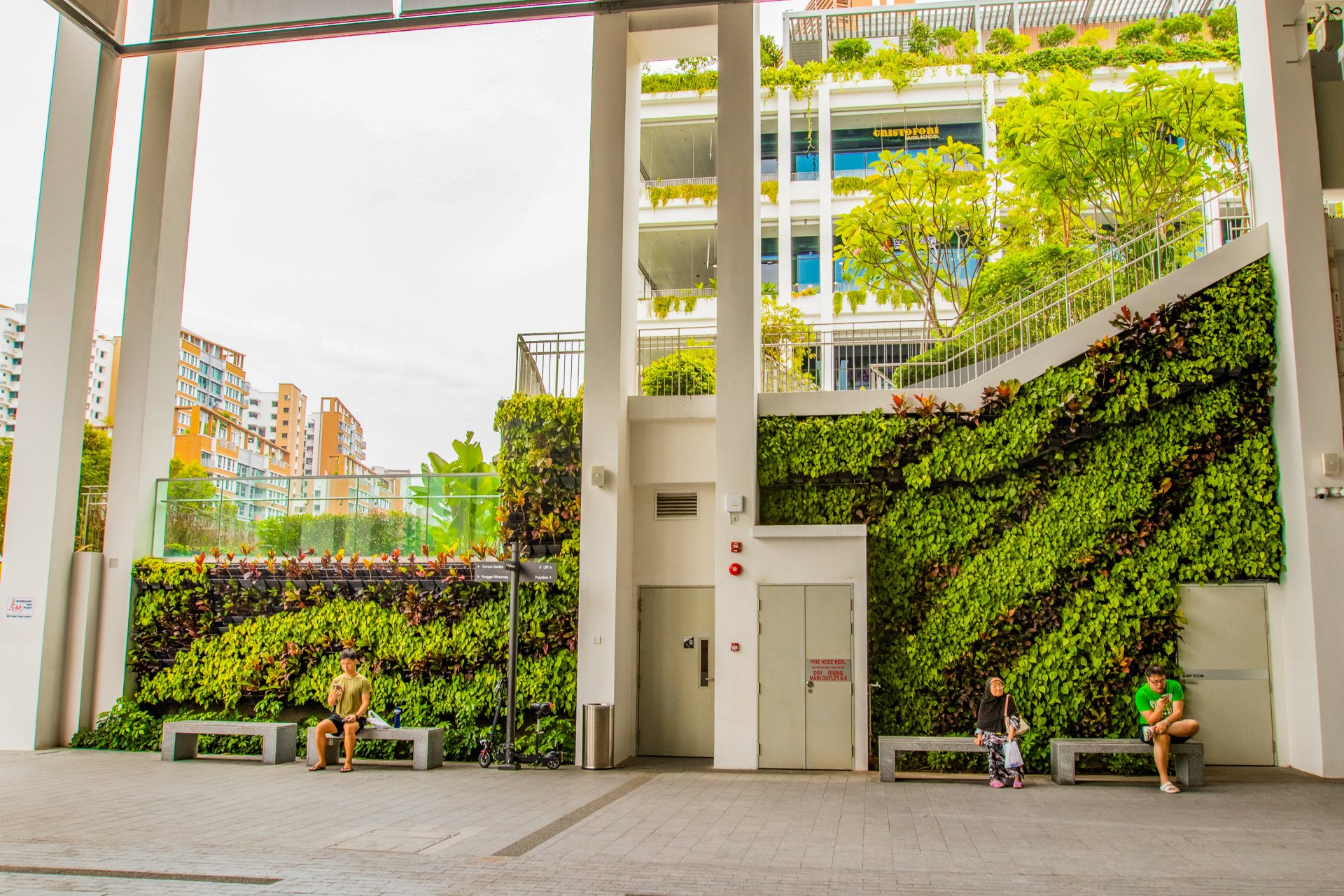 Nature Landscape - Portfolio - Oasis Terraces