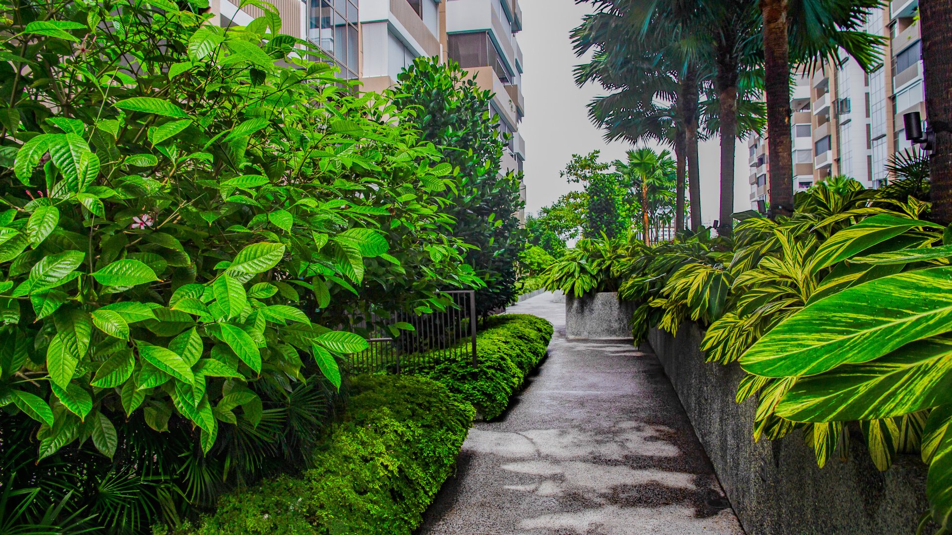 Nature Landscape - Portfolio - The Vales