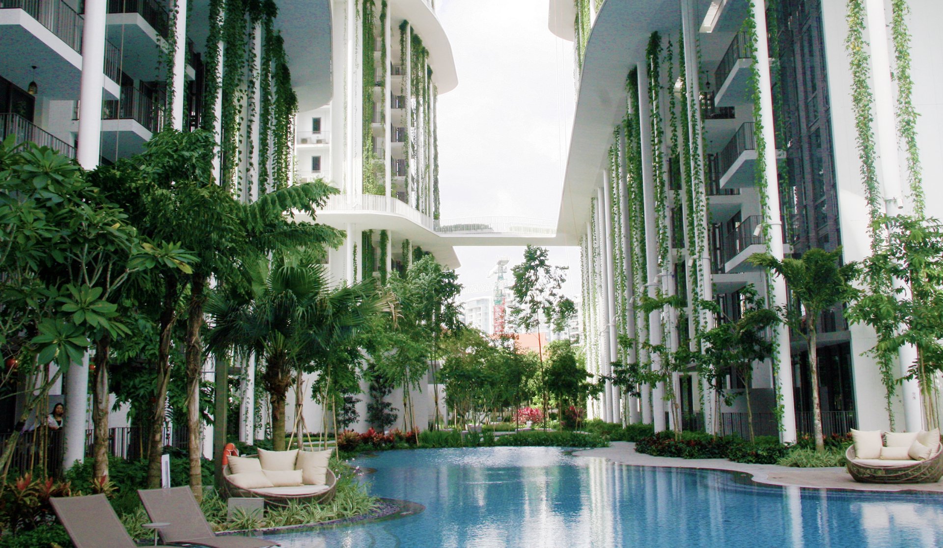 Nature Landscape - Portfolio - The Tembusu