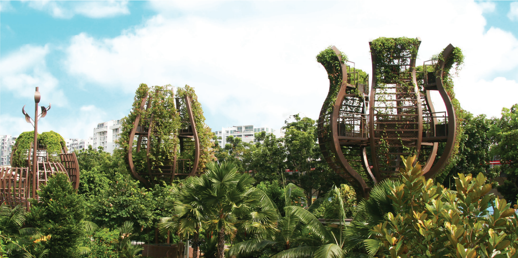 Nature Landscapes - Landscape Project Implementation