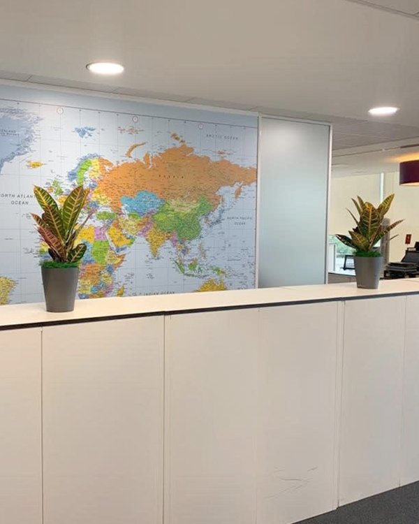 Buy/rent plant displays for your office reception│Passiflora