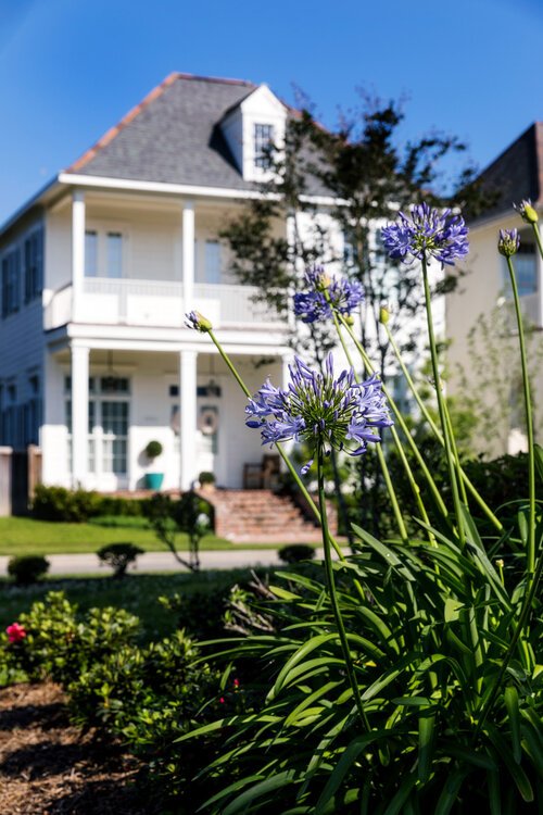 Community Vision | Rouzan