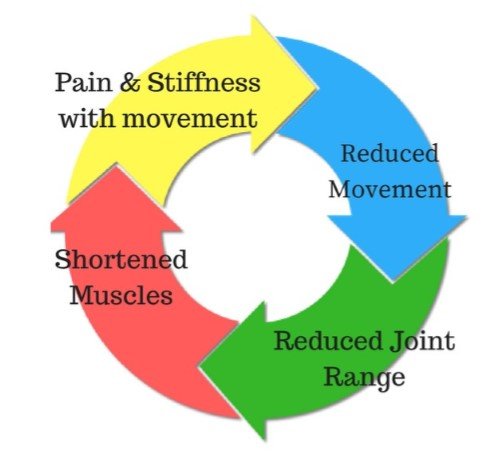Understanding Joint Stiffness