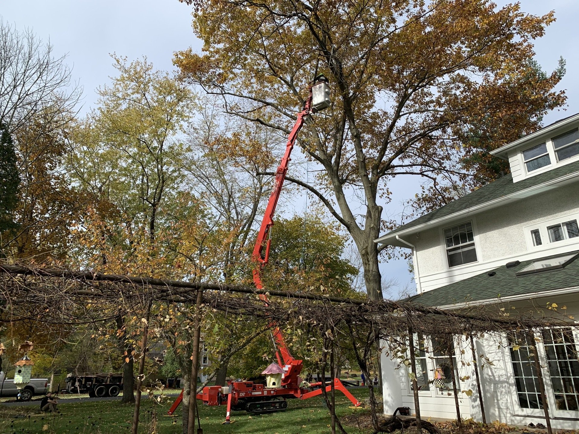 Tree Removal in Rochester, NY | Weber Tree Inc