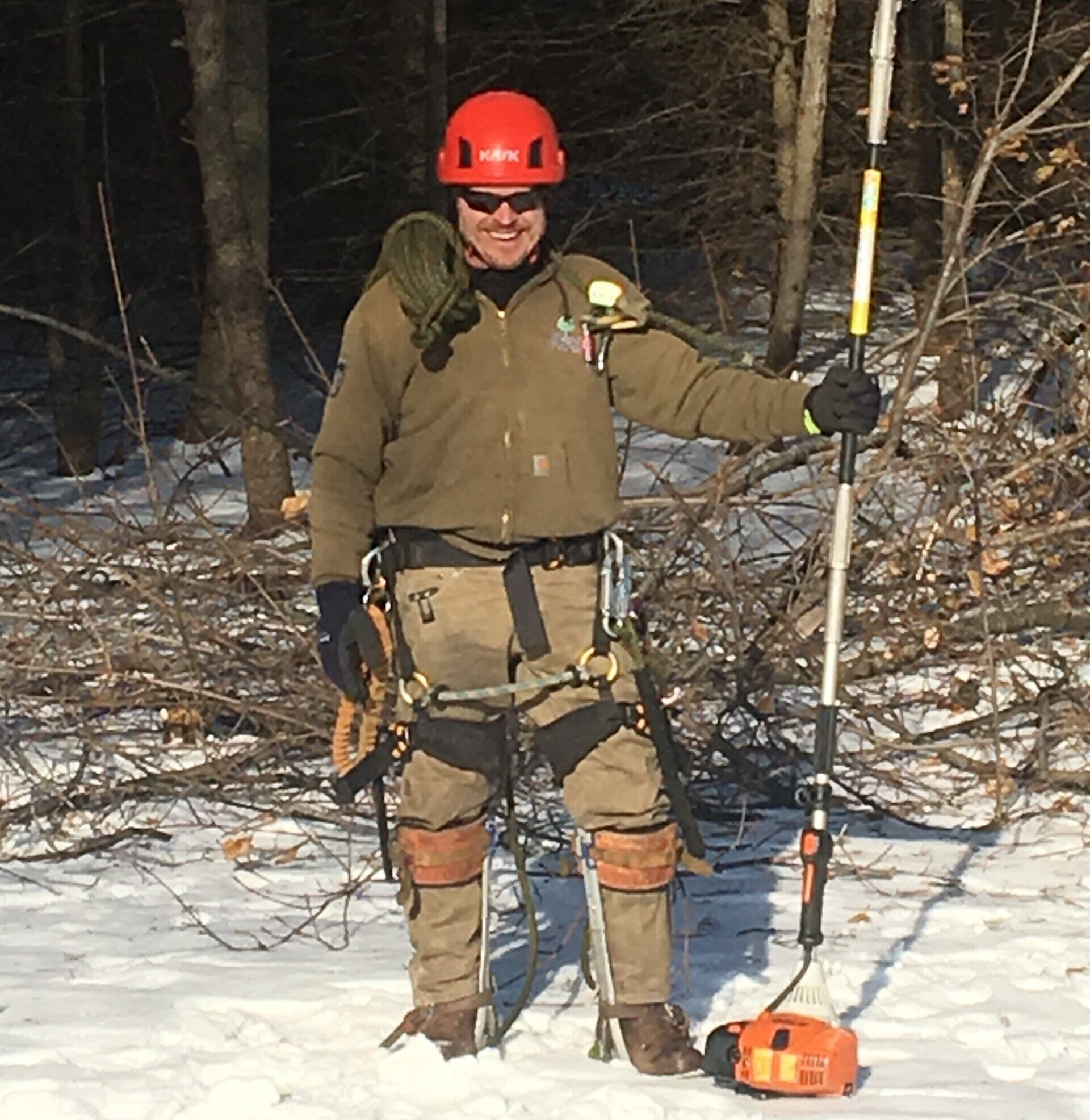 Tree work Rochester, NY - Weber Tree Inc