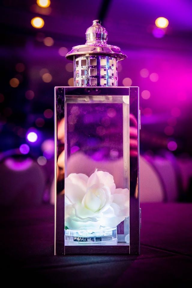 Hire products | Event Styling Co. | Auckland