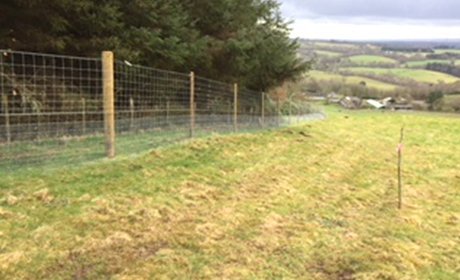 Agricultural fencing by DW Adamson Fencing Perthshire