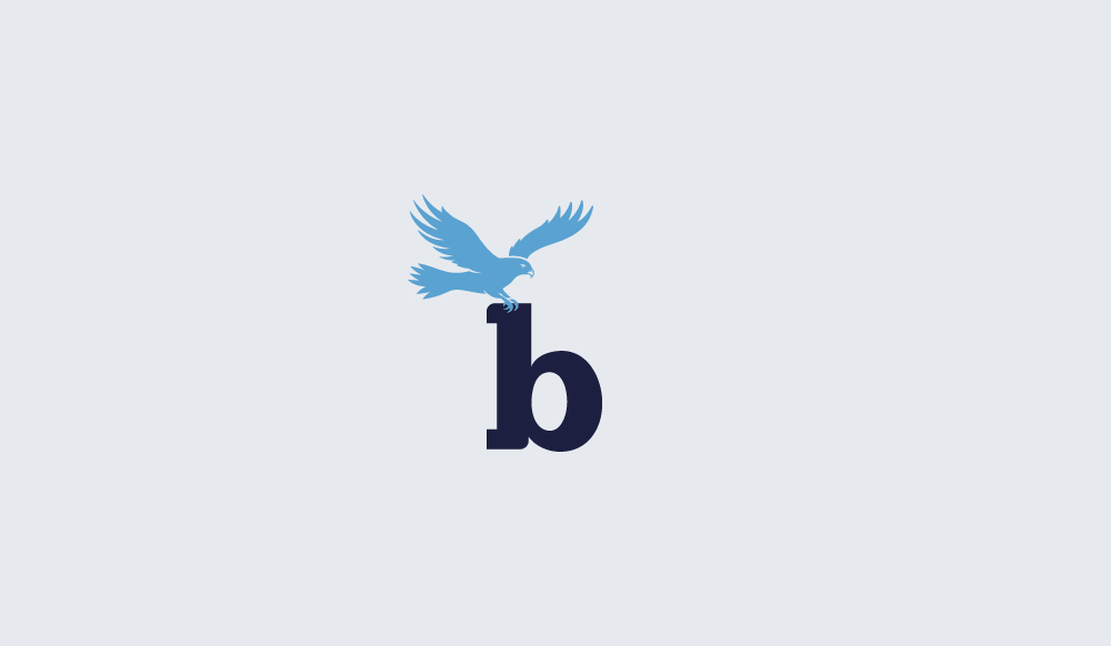 B2B Brand Design-Website - Bowhill Engineering | Sydney