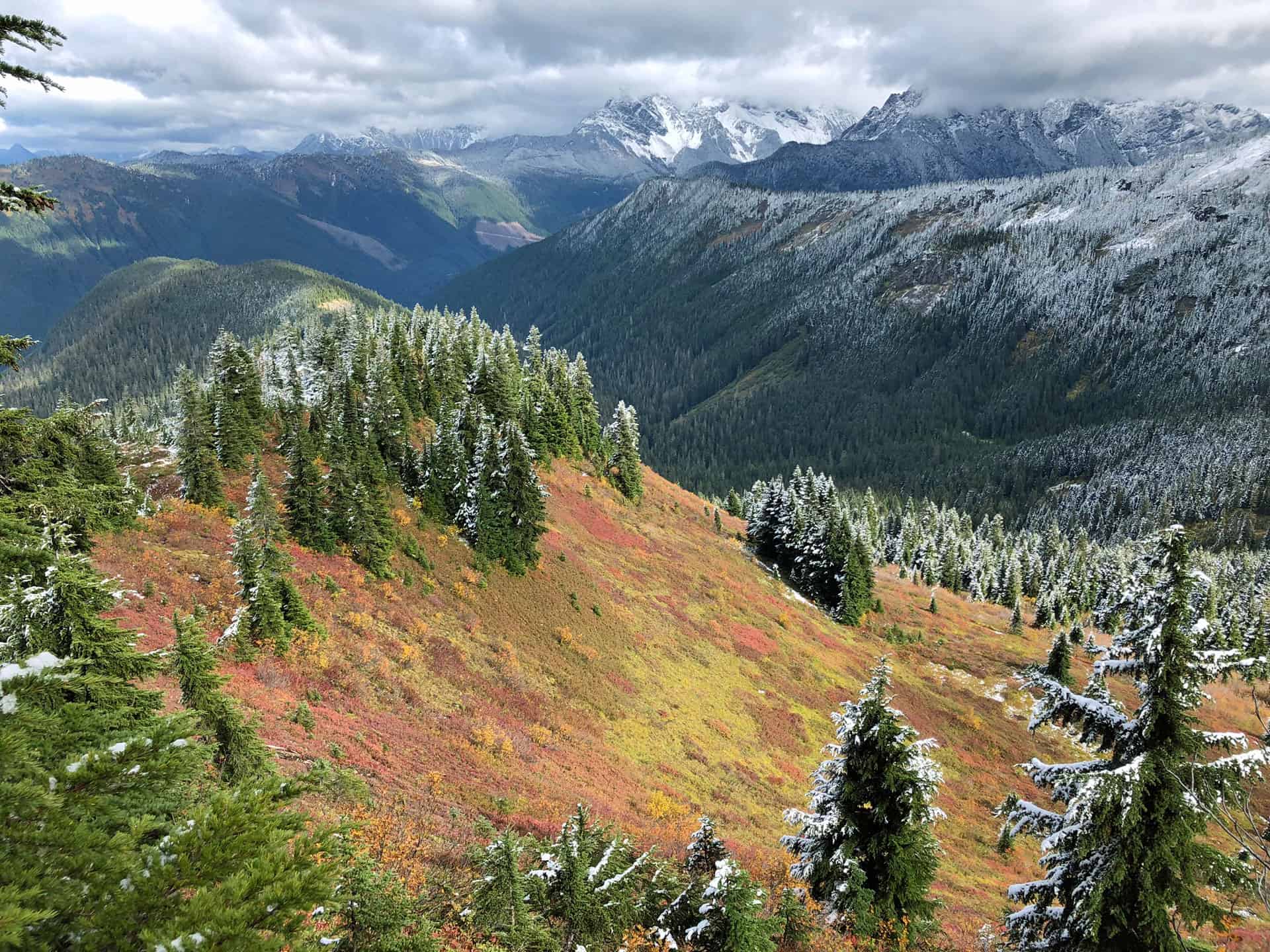 About Us | Element Solutions