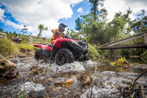 Insurance Agency in Louisiana | Bill Mayer Insurance