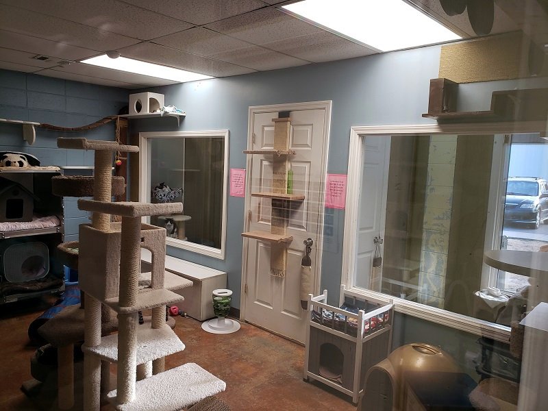 Adopt A Kennel Annual Sponsorship | New Leash on Life