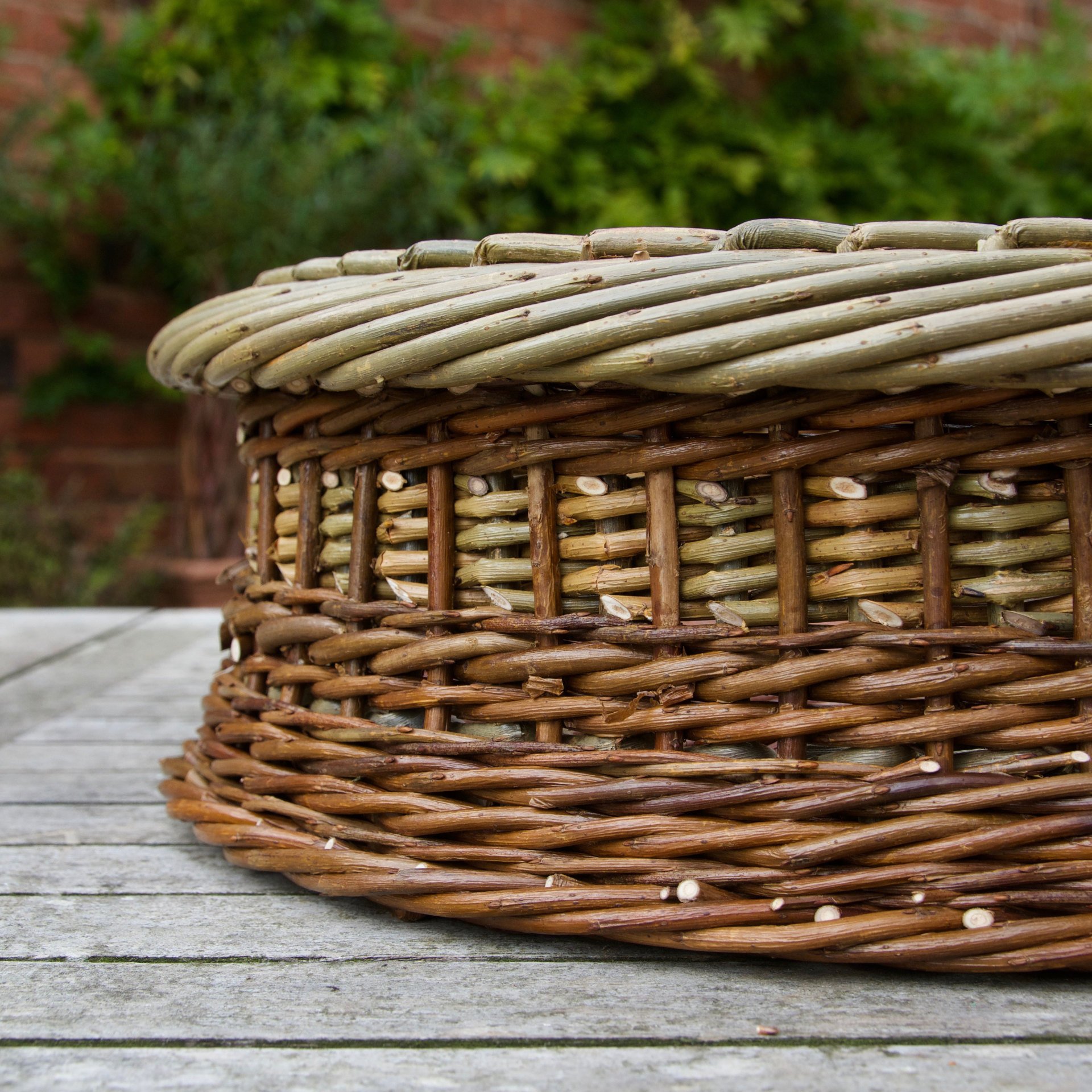 Jenny Crisp Basket Maker & Willow Grower