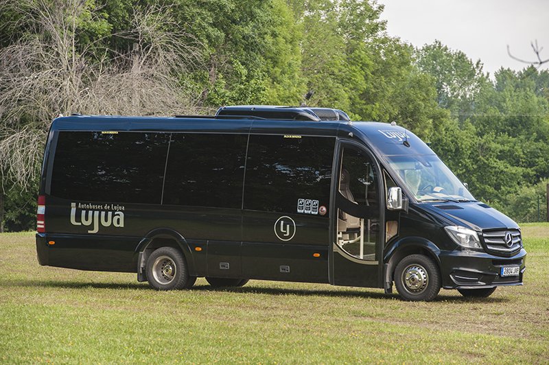 Autobuses Lujua