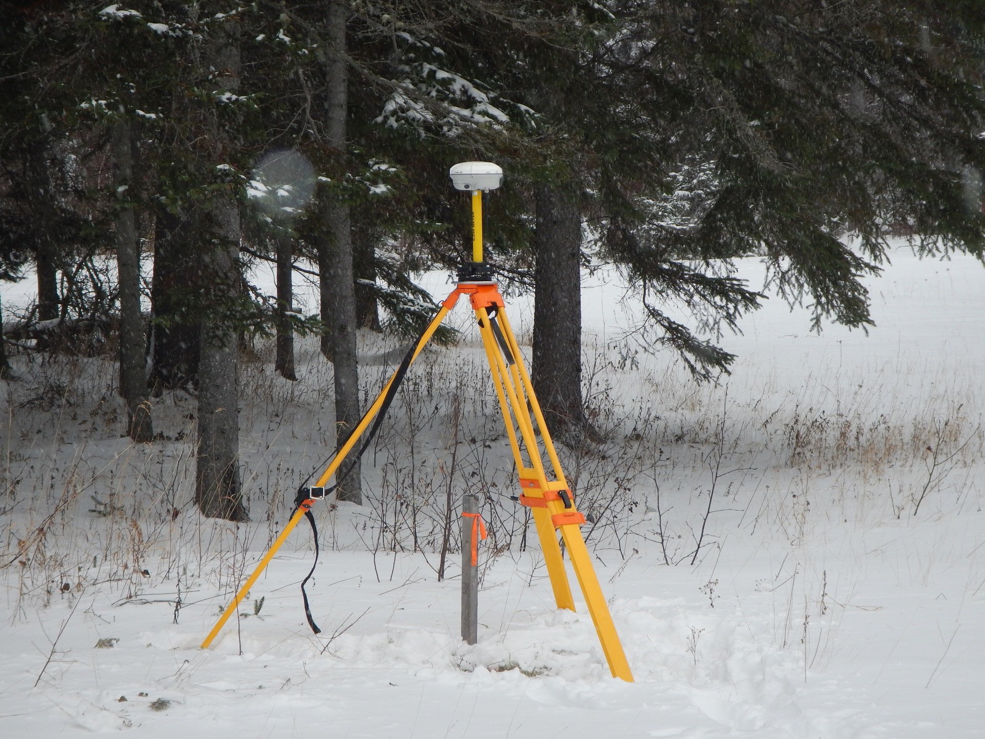 Survey & Field Services