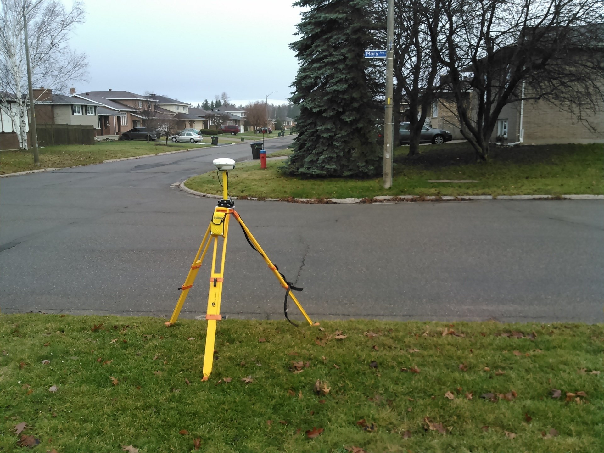 Survey & Field Services