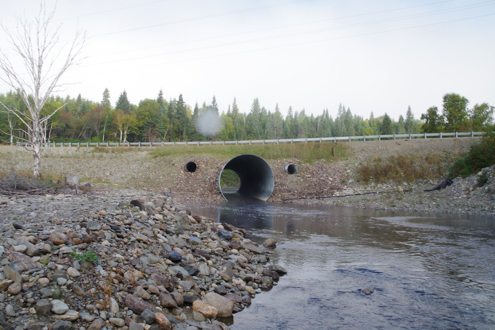 Surface Water Management