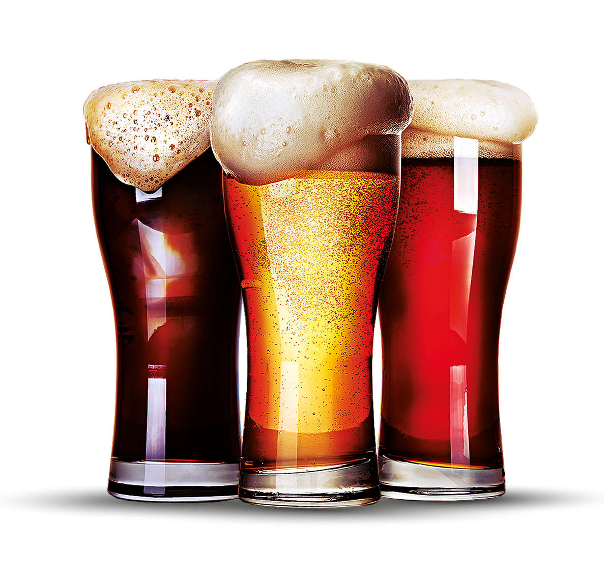 About The Prince Albert Ely Cambridgeshire | Ely Pub | Ely Restaurant