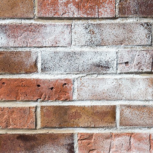 How To Fix Efflorescence On Walls