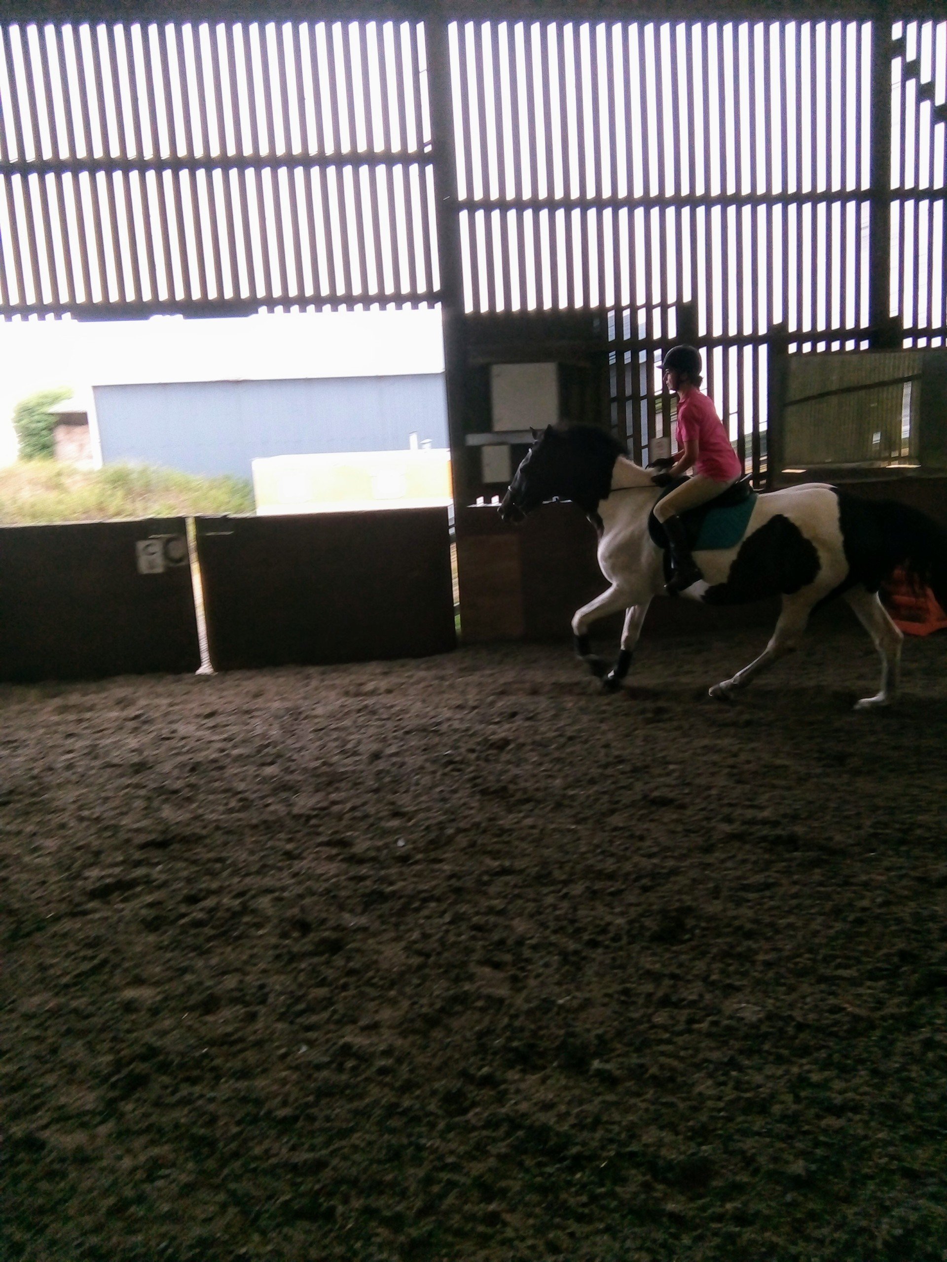 Horse riding school | Croft Farm Riding Centre