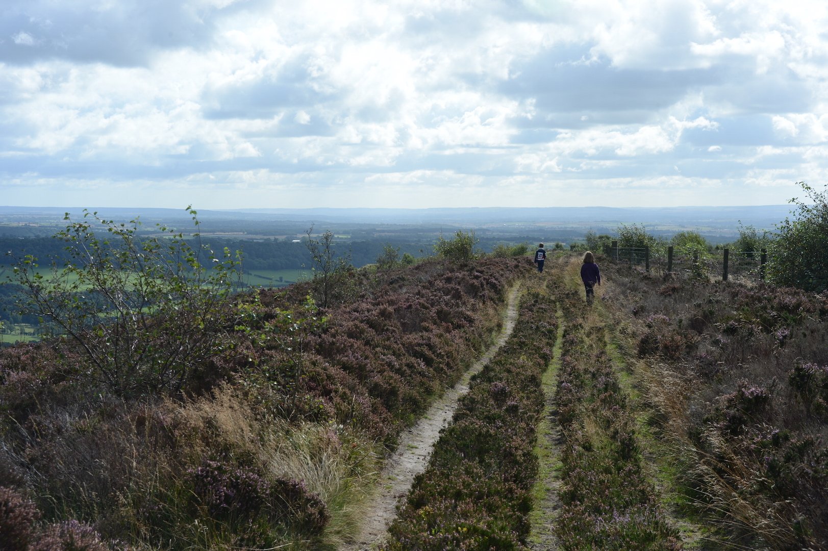 BEADLAM RIGG :: High Farm, Beadlam Rigg, Remote Holidays in North Yorkshire