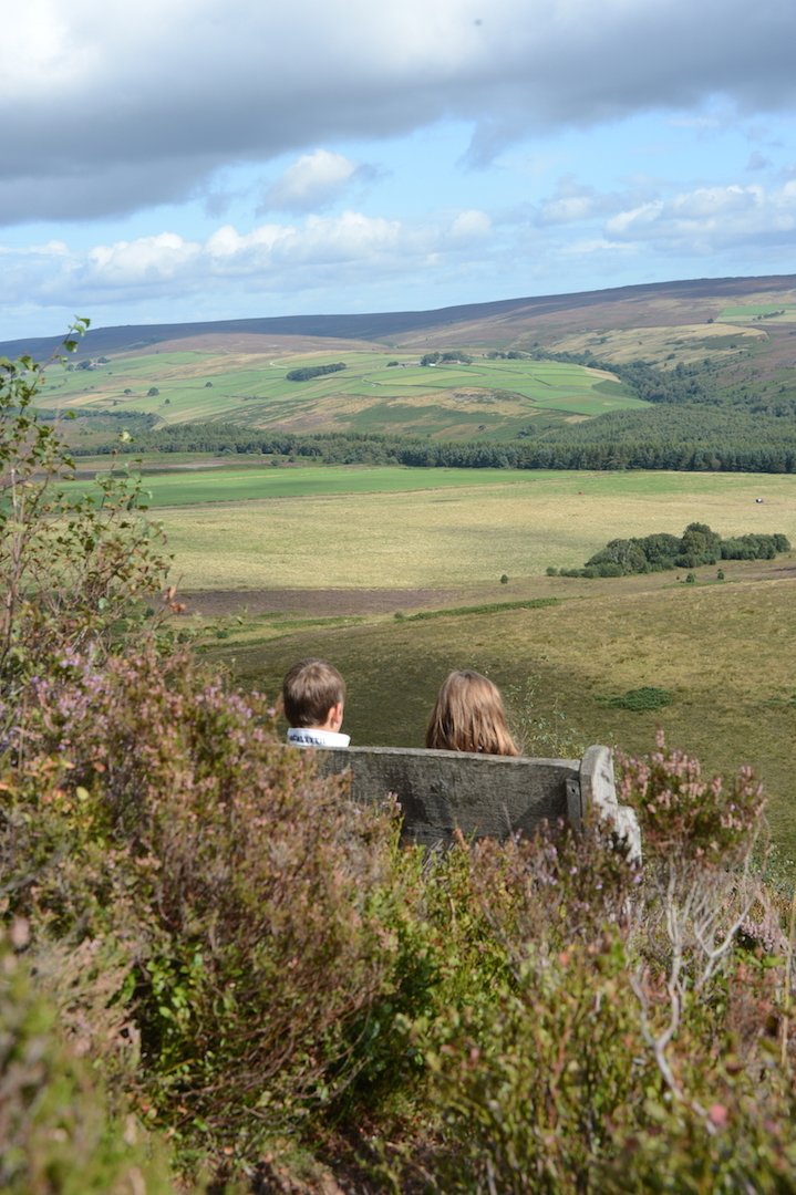 BEADLAM RIGG :: High Farm, Beadlam Rigg, Remote Holidays in North Yorkshire
