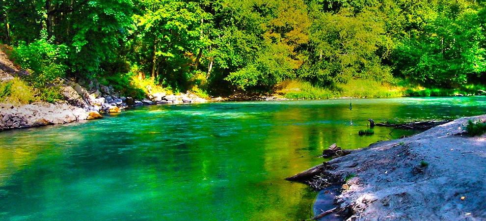 Satsop River Fishing Guides | Rip Some Lips Guide Service