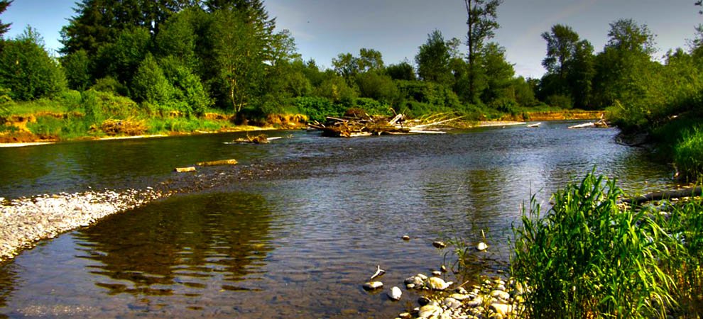Satsop River Fishing Guides | Rip Some Lips Guide Service