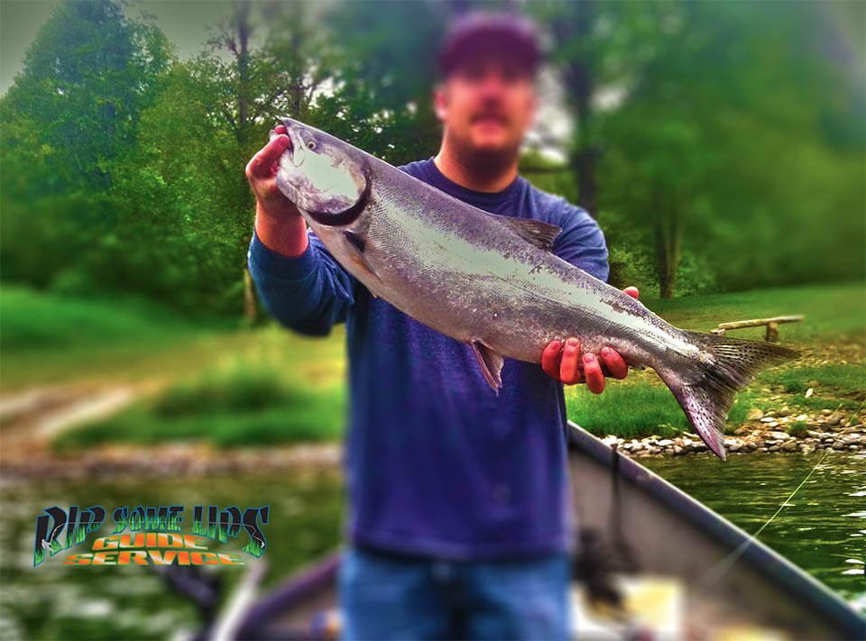 Chehalis River Fishing Guides | Rip Some Lips Guide Service