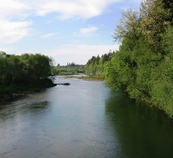 Western Washington River Guides | Salmon & Steelhead Fishing
