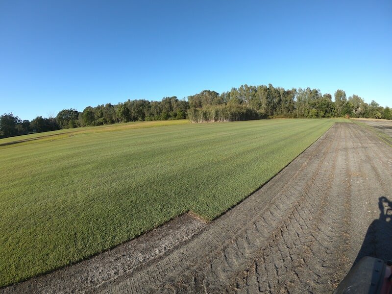 Lawn Turf Experts Northern Rivers | Ballina Turf Farm