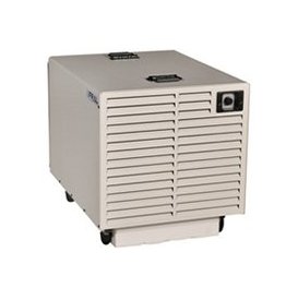 Quality Mould Inspections and Removals | Moisture Cure