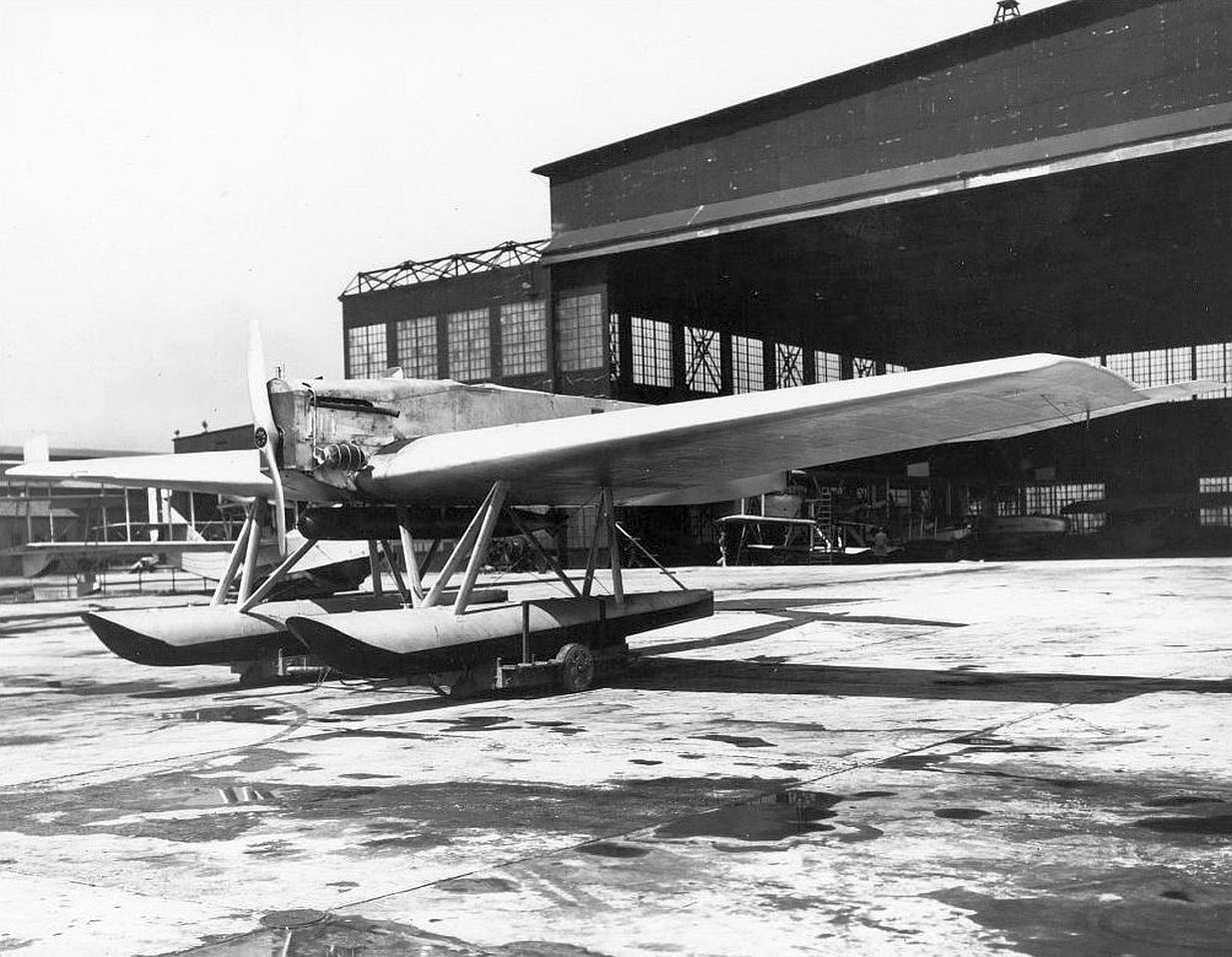 Fokker T.II