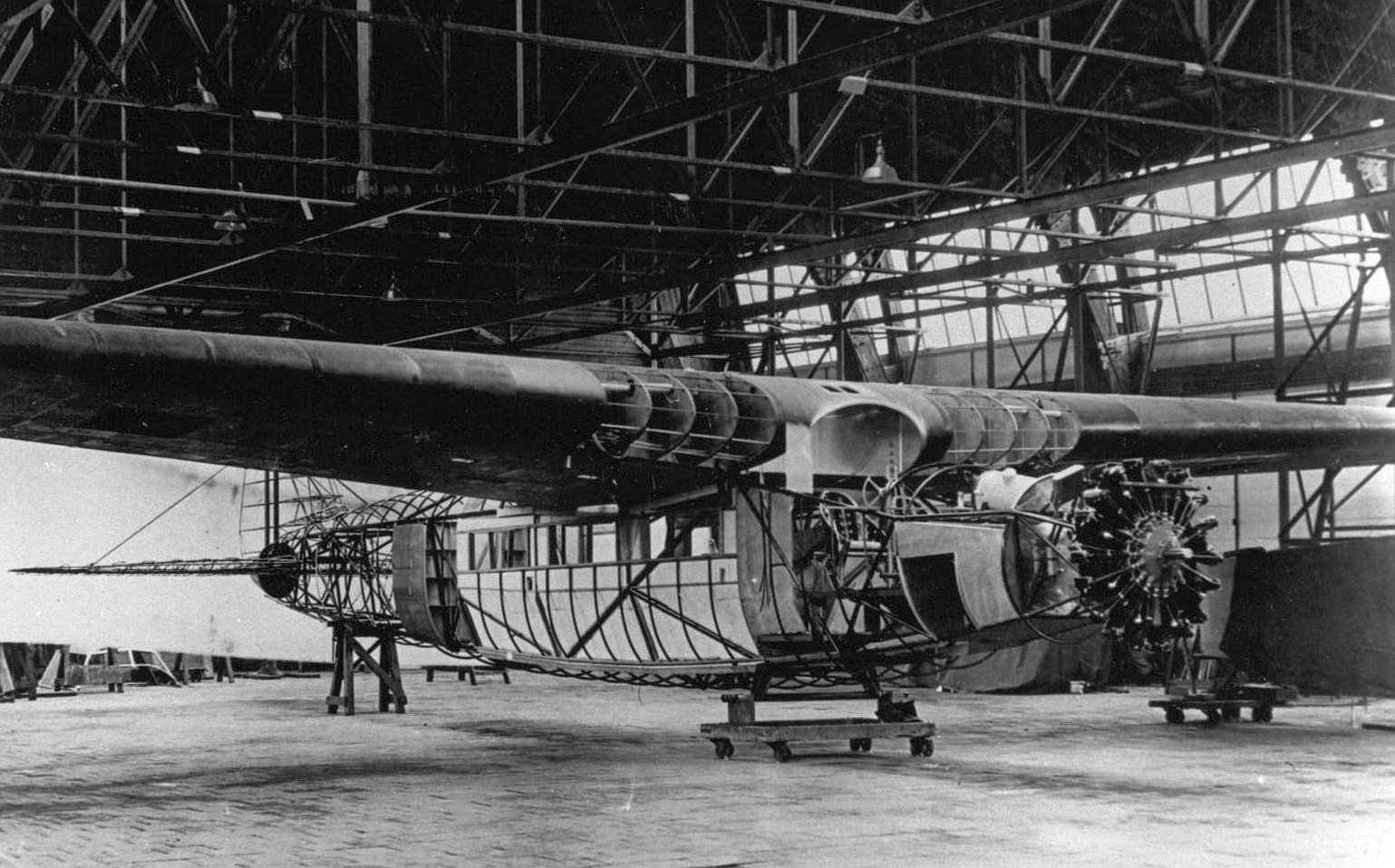 Fokker F.XX (English version)