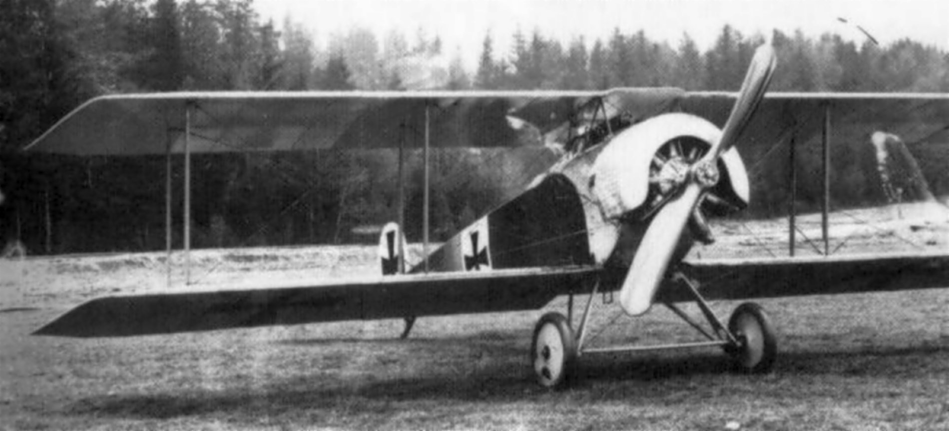 Fokker D.II (English)