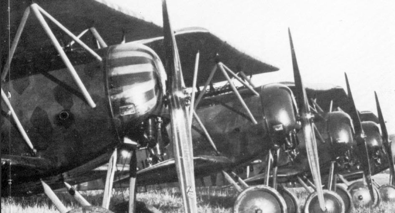 Fokker D.VI (English)
