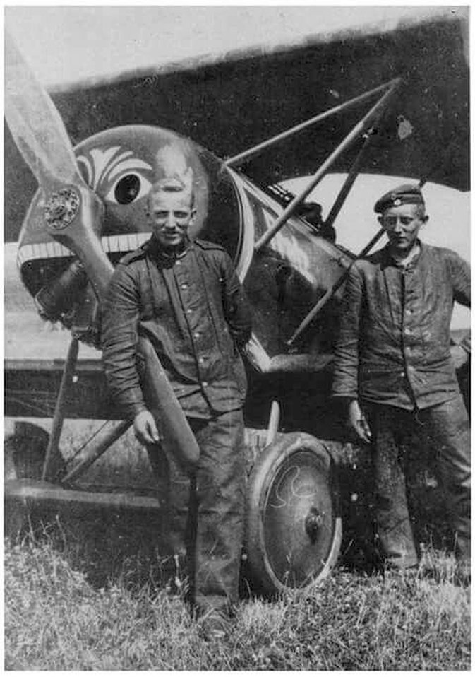 Fokker D.VI (English)