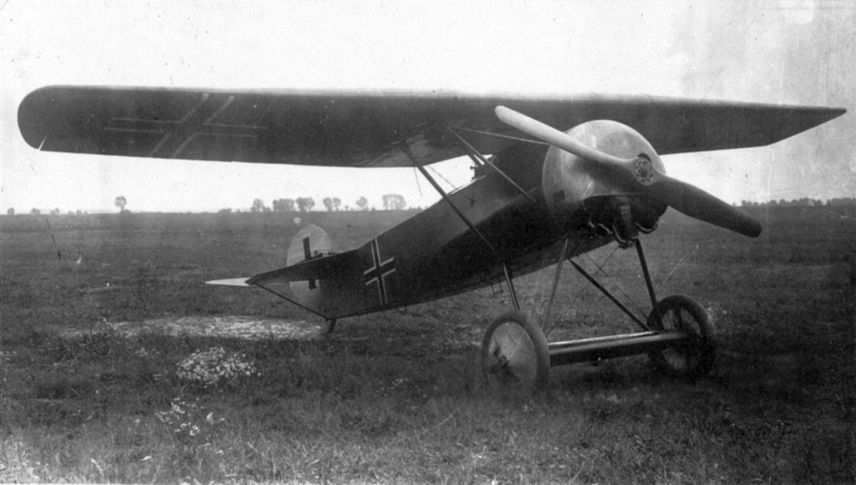 Fokker D.VIII (English)