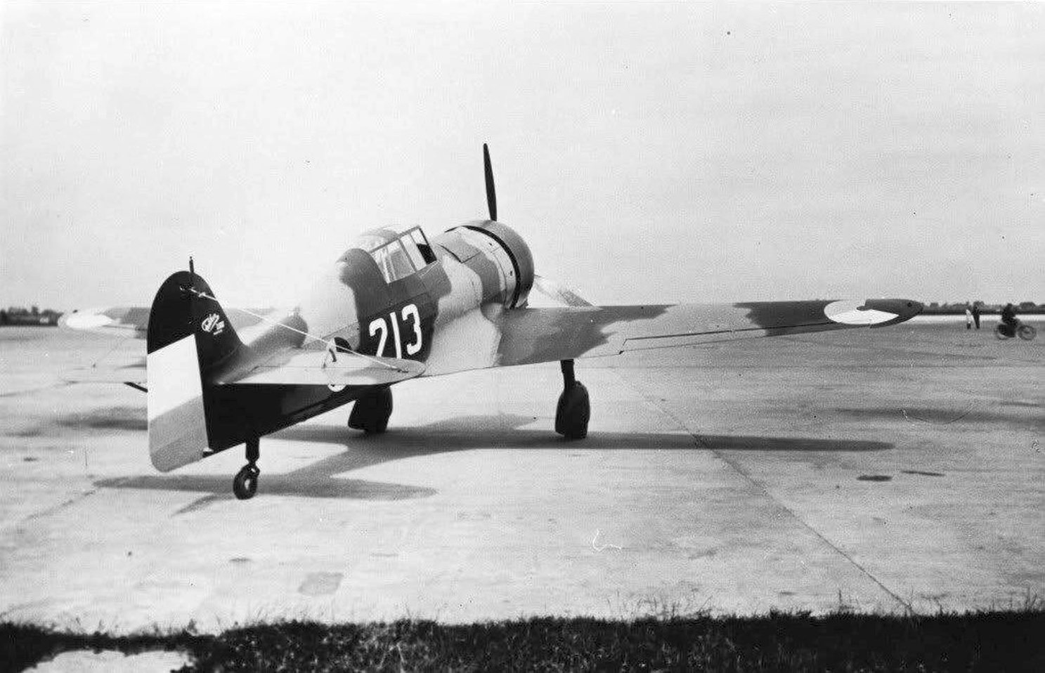 Fokker D.XXI (English)