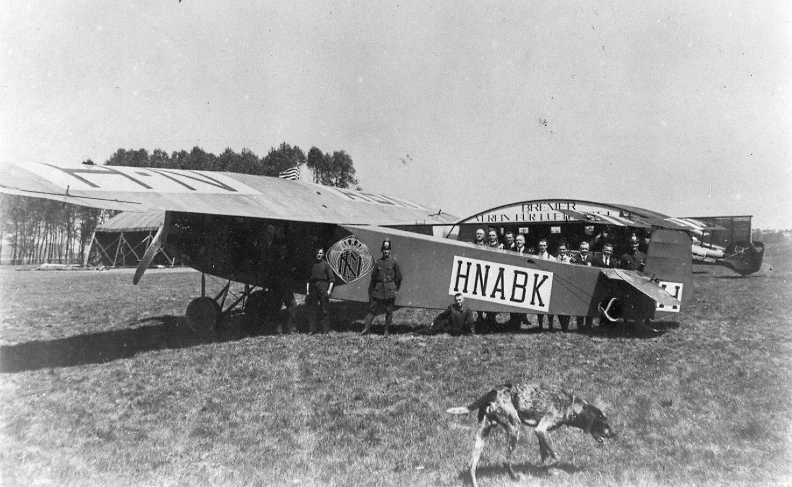 Fokker F.III (English version)