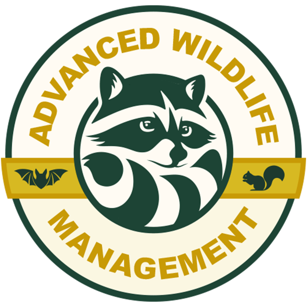 Northern Illinois Animal Removal | South Beloit, IL | Advanced Wildlife ...