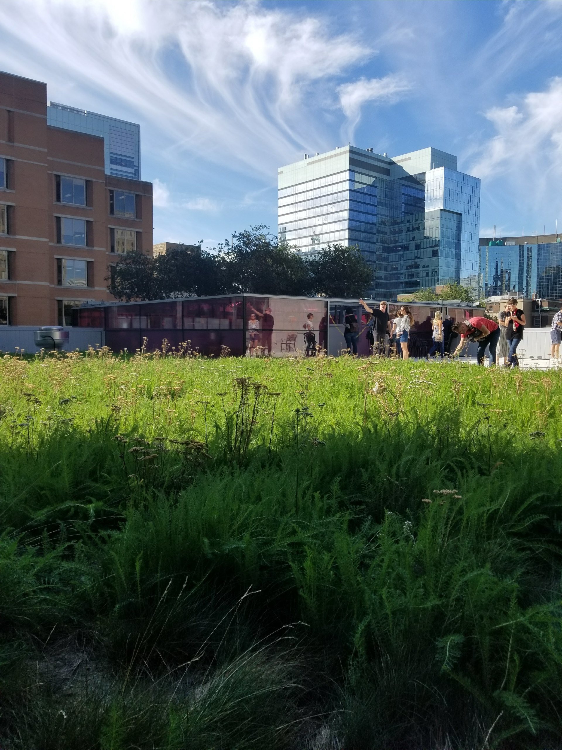 Community Green - John Beaudry Landscape Design