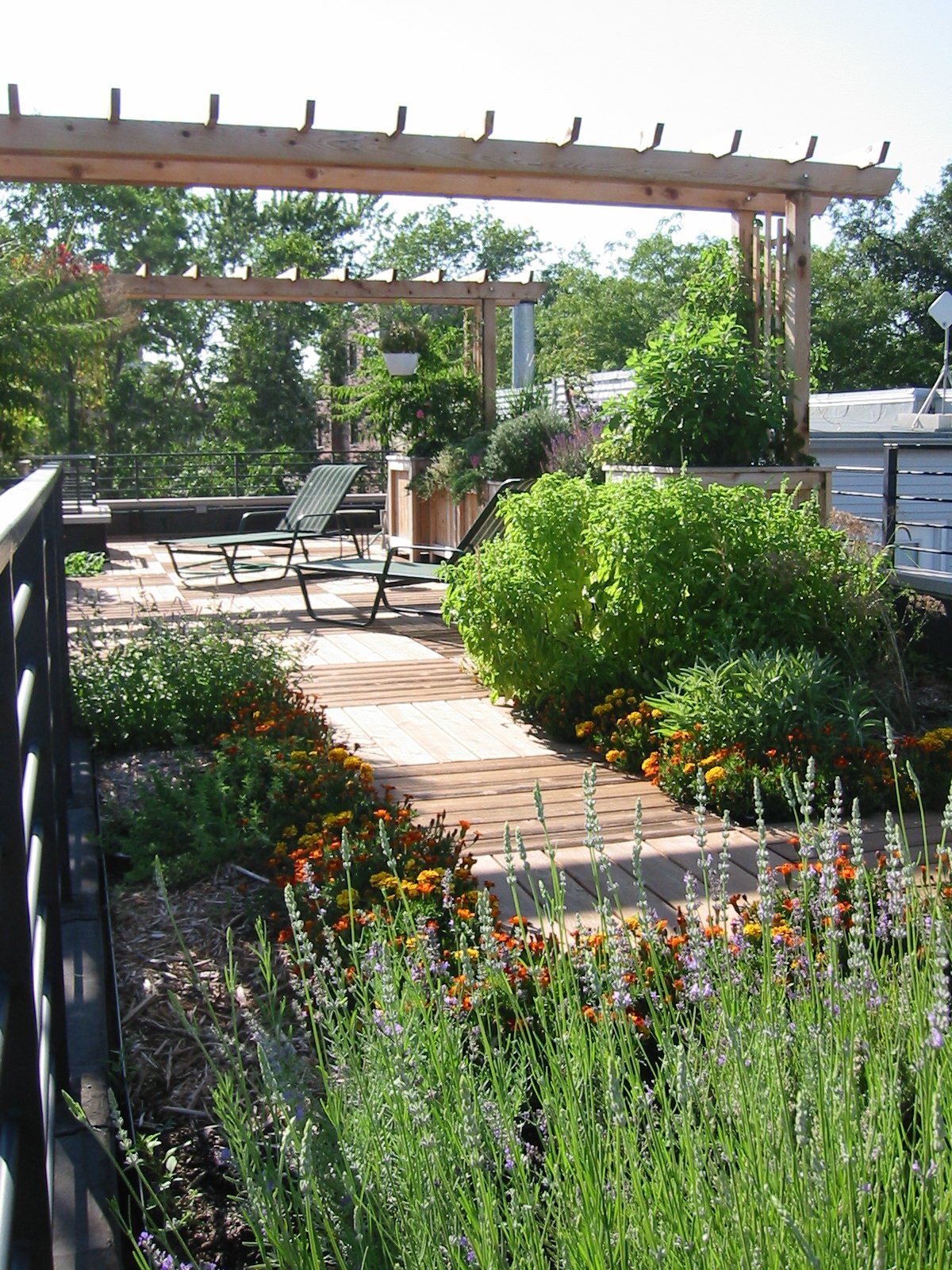 Community Green - John Beaudry Landscape Design
