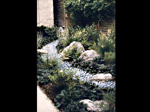 Contemplative Garden Project - John Beaudry Landscape Design