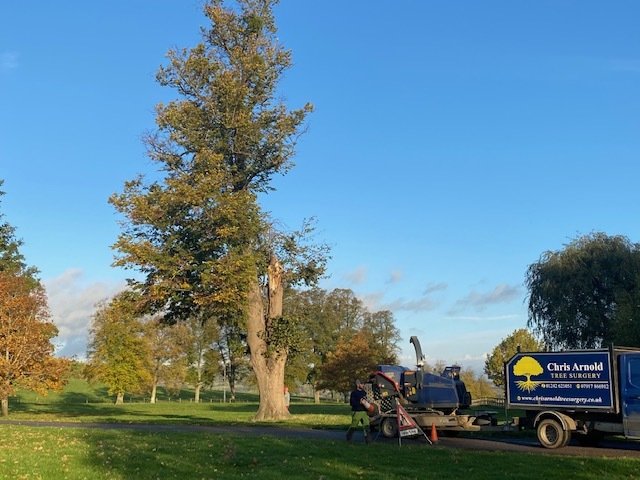 Chris Arnold Tree Surgery