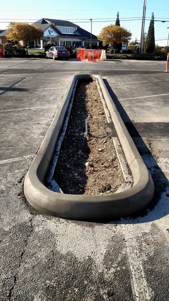 Extruded Curbing Bellingham WA | Whatcom County