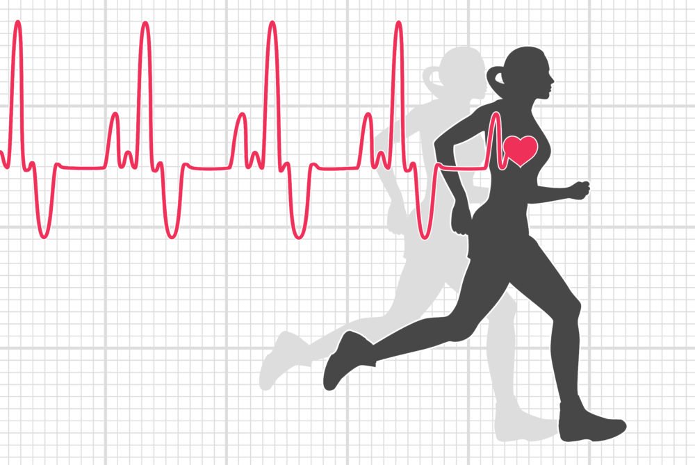 Heart Rate All You Need To Know Heart Rate All You Need To Know