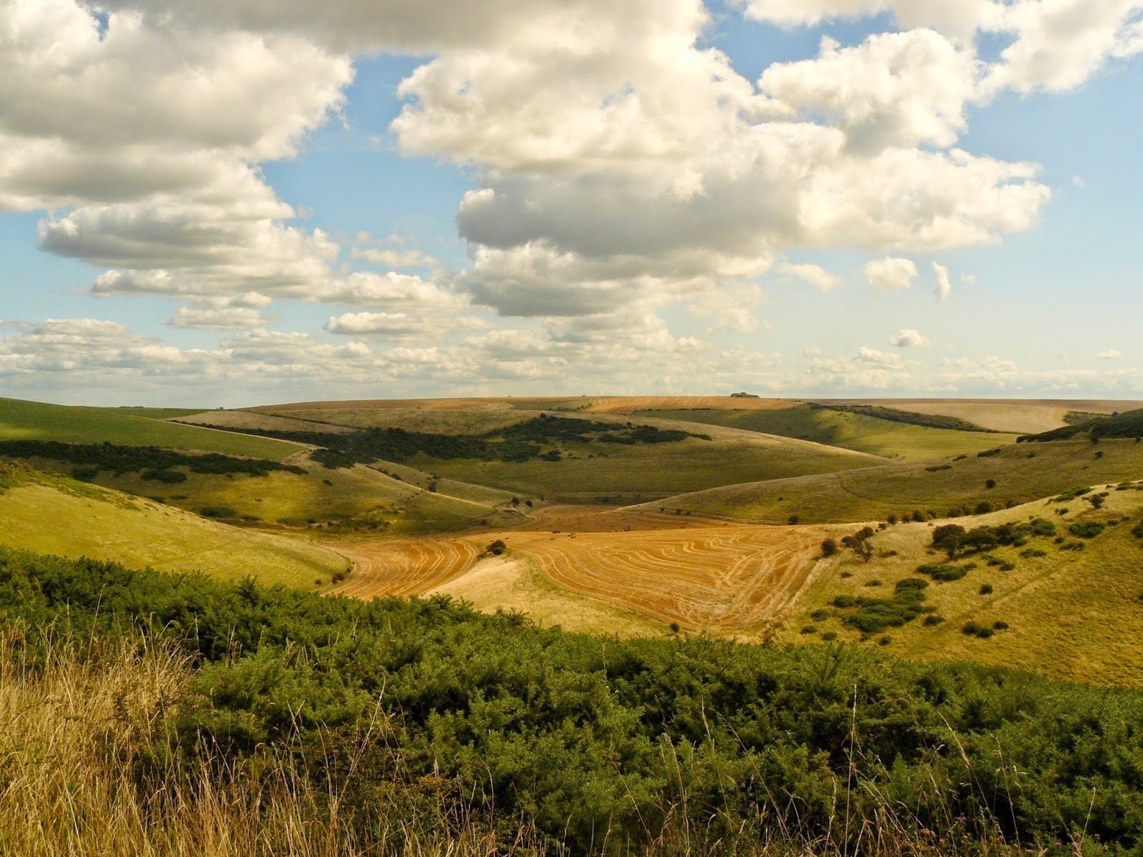 Welcome [www.brightonandhoveway.org.uk]