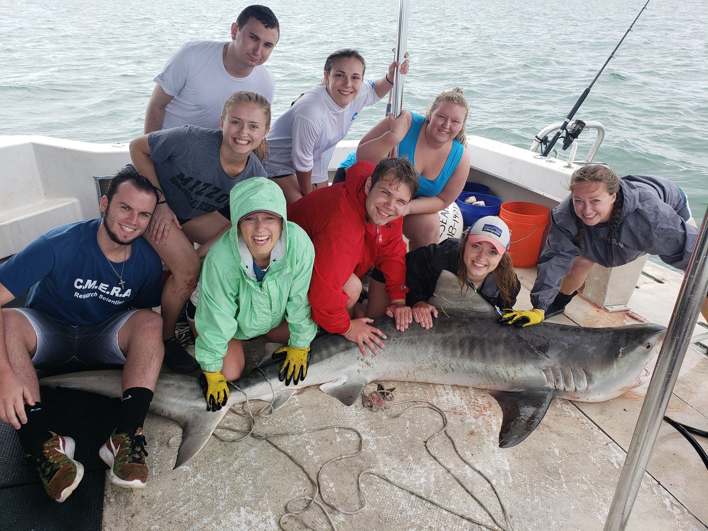 Shark Research Internship | Clearwater, FL | Coastal Marine Education ...