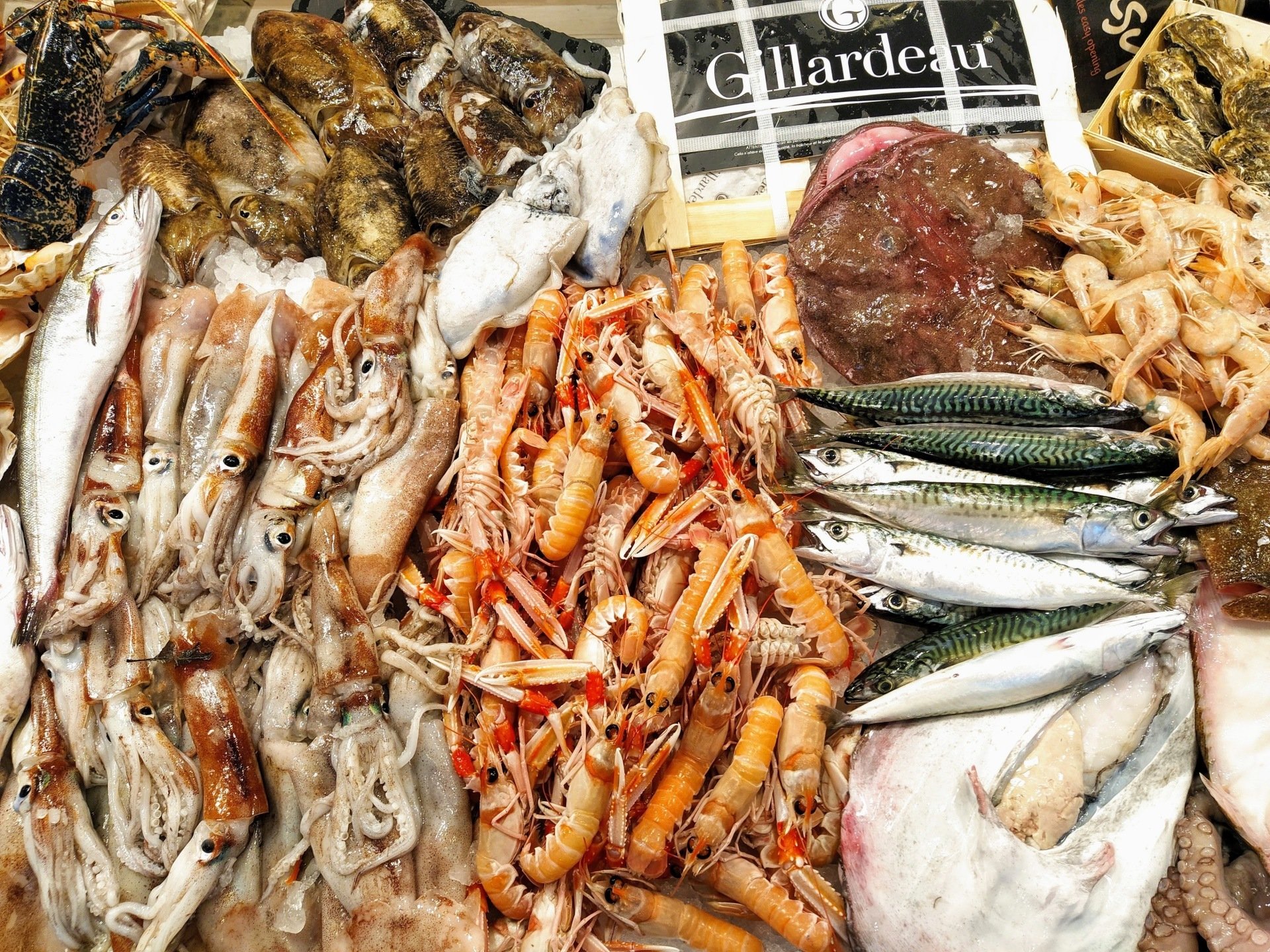 Pescheria Saronno Mediterranée