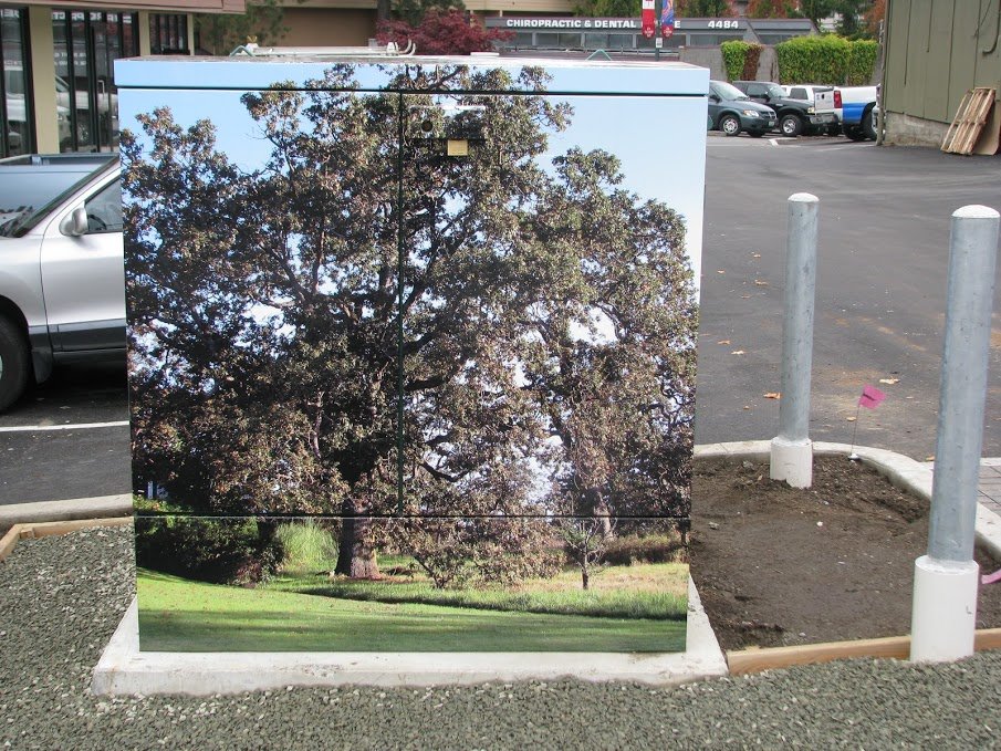 Custom Box Wrap Sign Shop in Victoria, BC